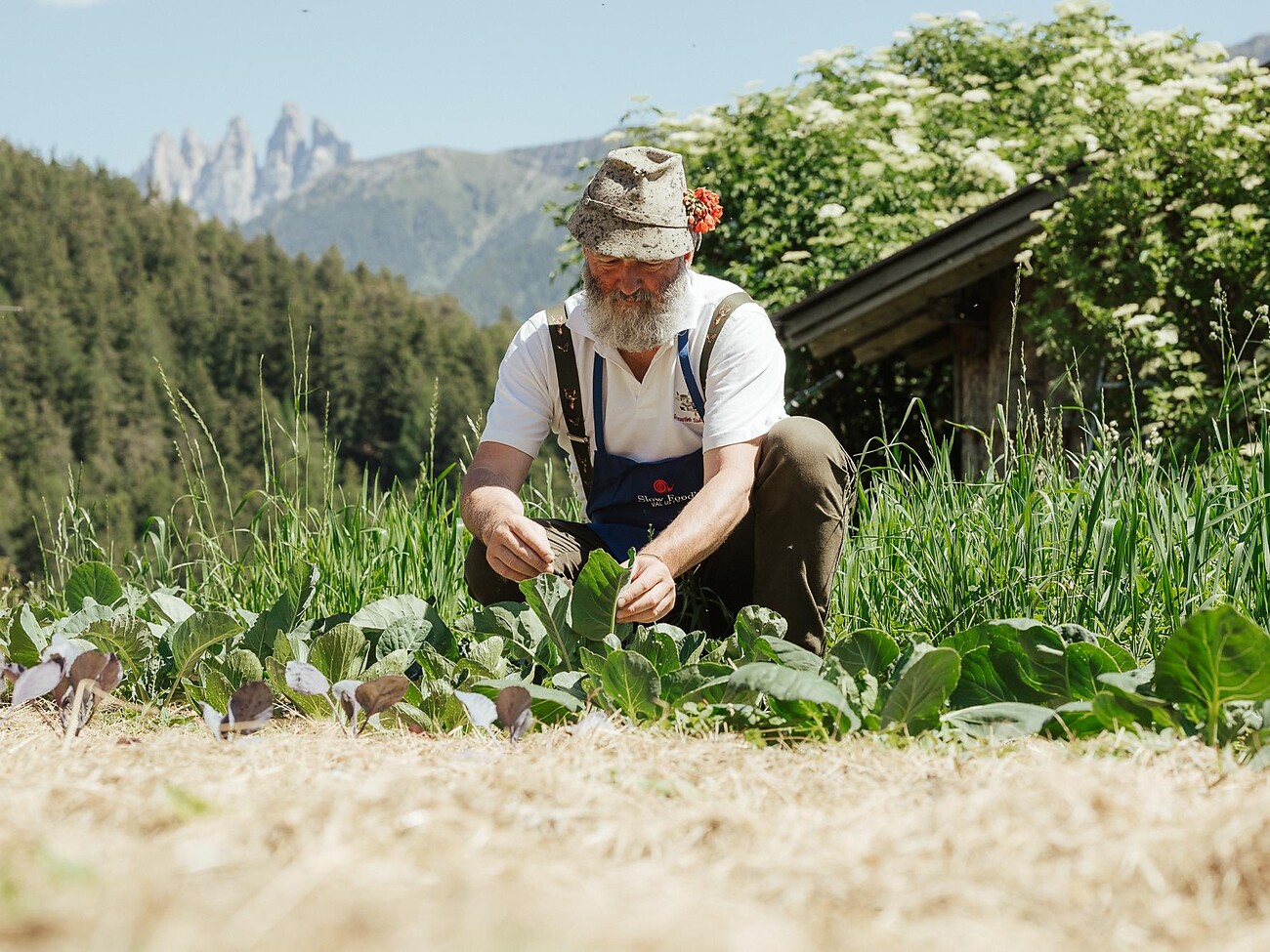 ᐅ Slow Food Travel - Auf den Spuren der Bergbauern - St. Peter ...