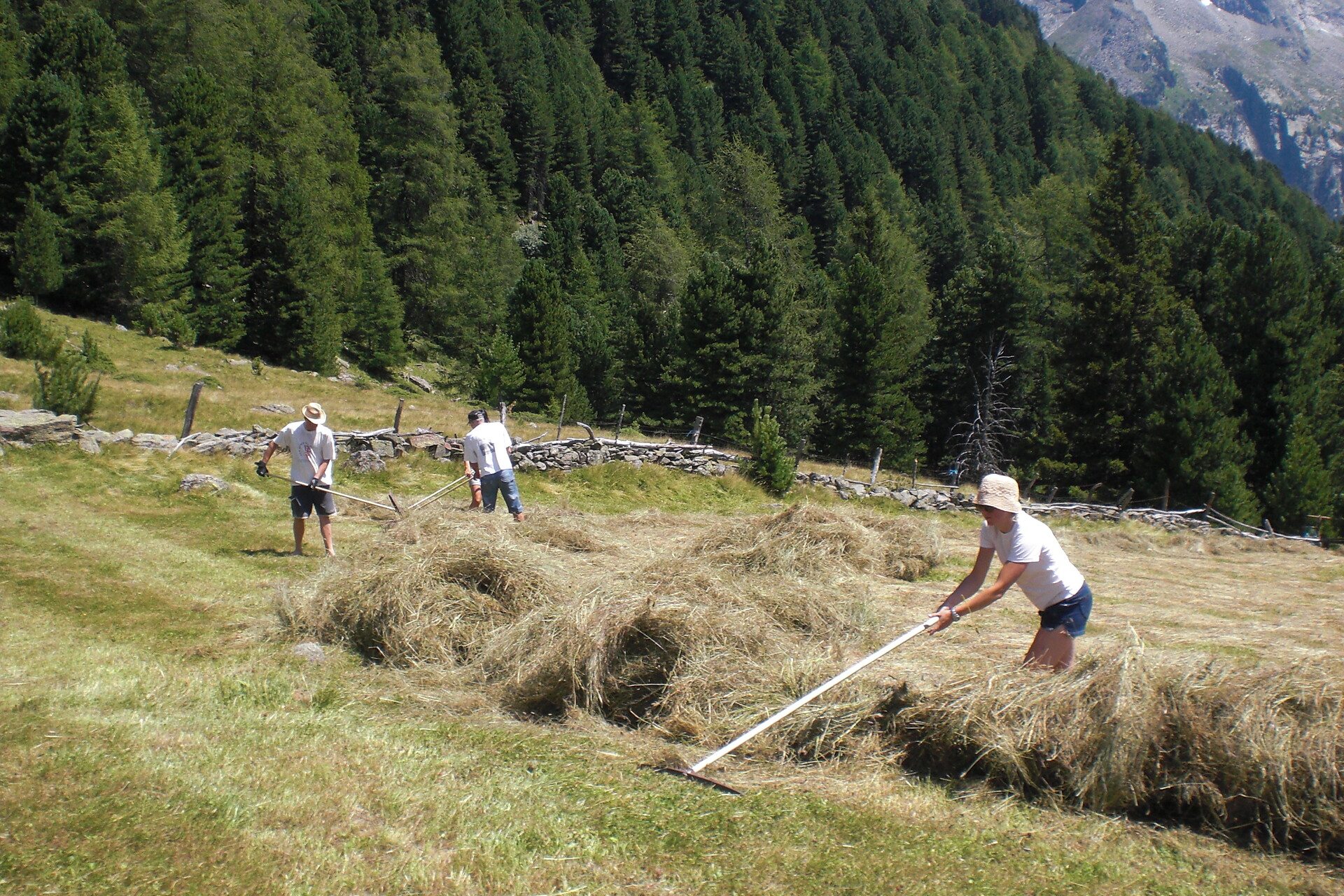 Gasserhof | Dolomiti Superski