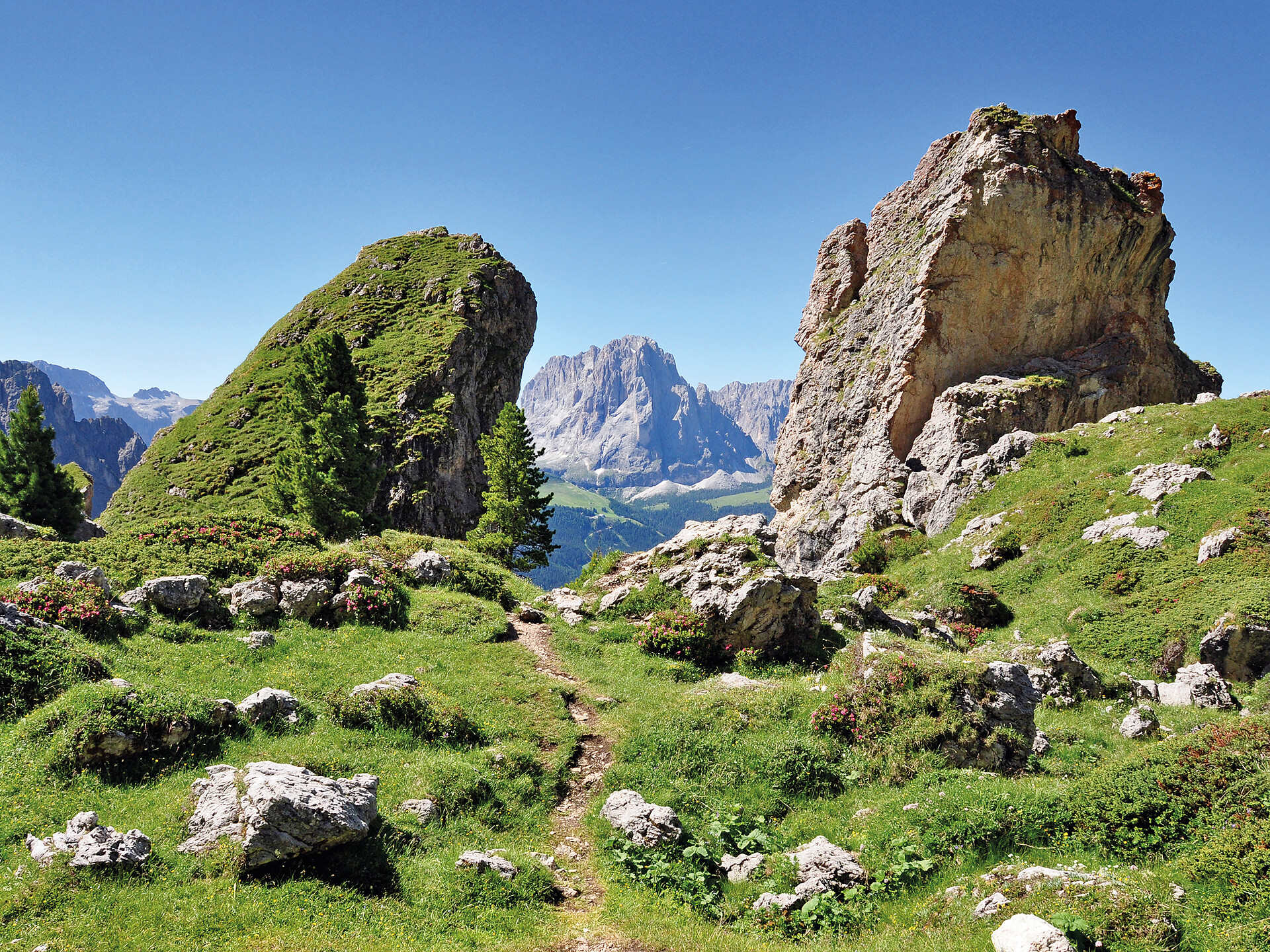 Escursione sotto le Odle nel Parco Naturale Puez-Odle Patrimonio ...